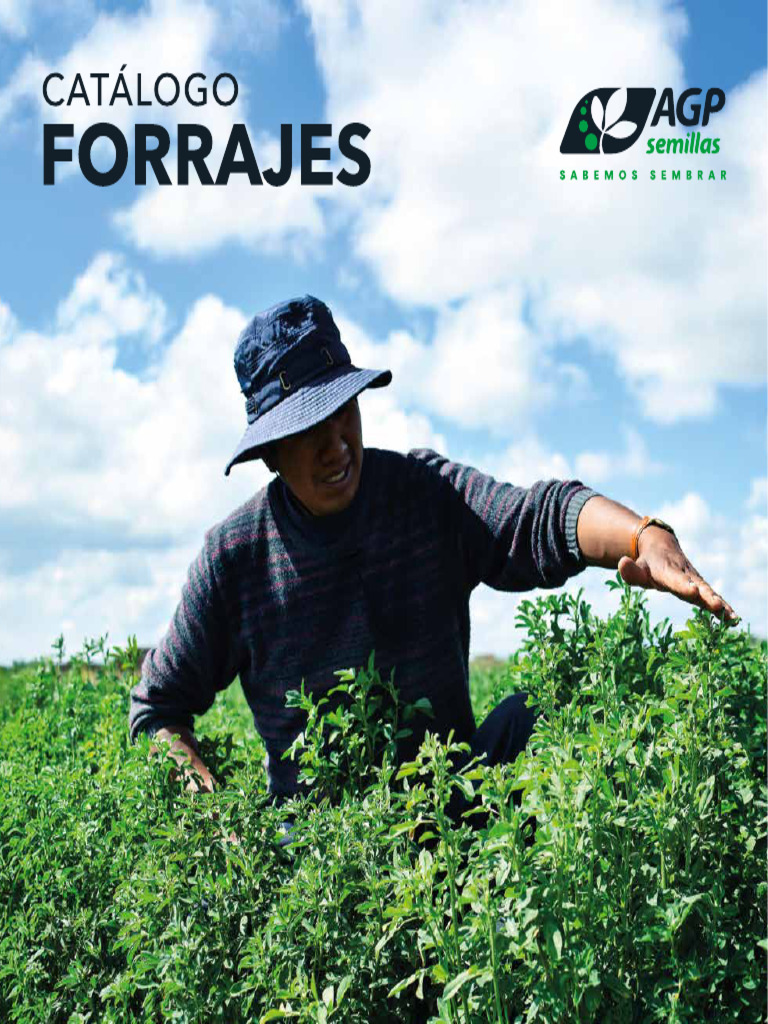 Catalogo Agp Forrajes | PDF