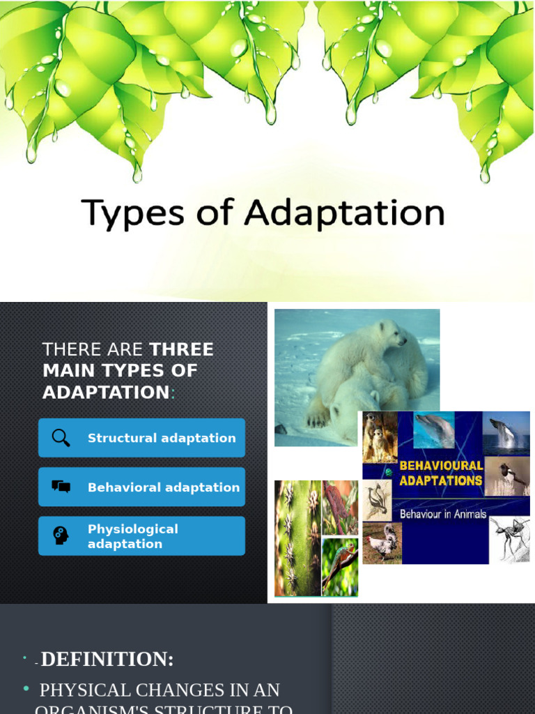 Three Types of Adaptation Explained | PDF