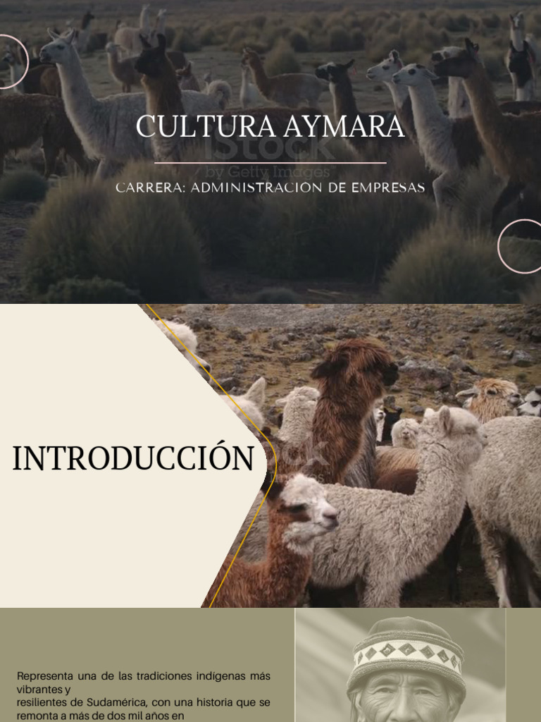 Cultura Aymara | PDF | Agricultura | Imperio Inca
