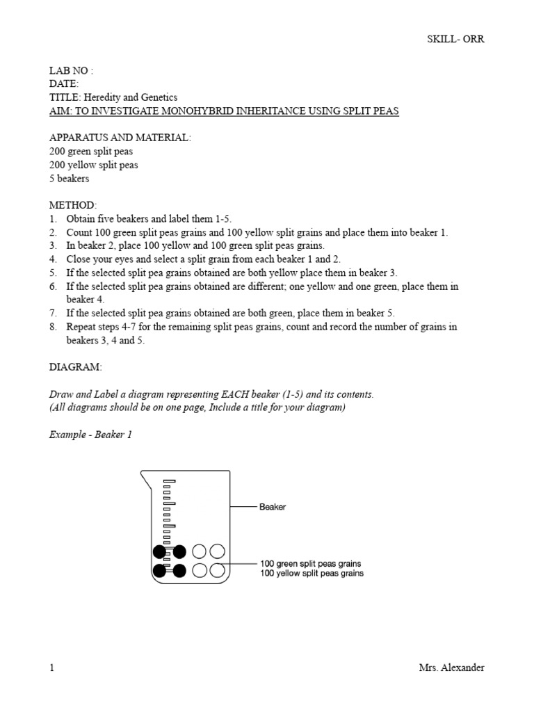 Lab #15 - Split Peas Genetics Lab | PDF | Genotype | Biological Evolution