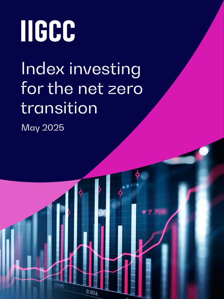 Net Zero Investment Frameworks Overview | PDF | Climate Change ...