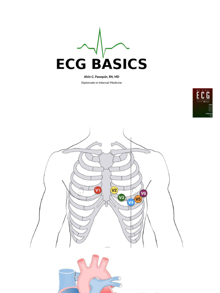 Ecg Basics | PDF | Electrocardiography | Medical Specialties