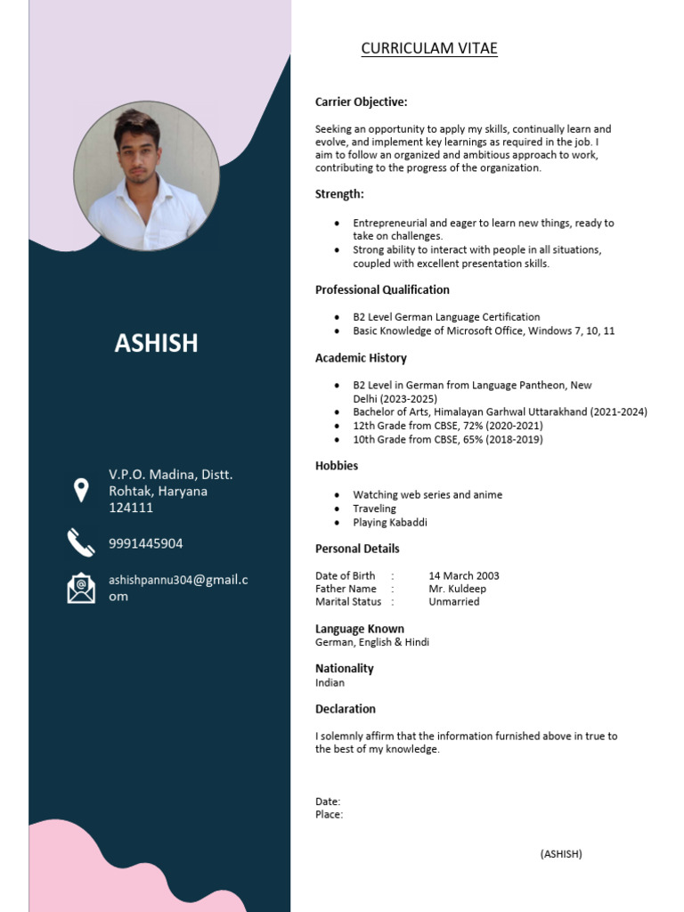 Ashish Resume | PDF