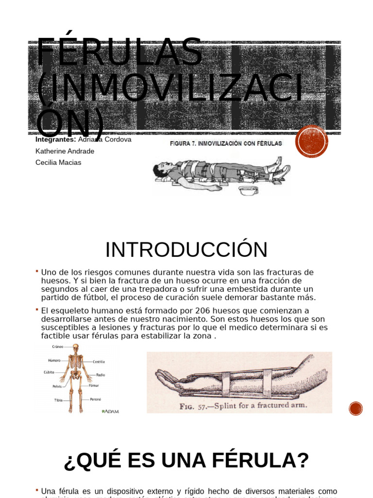 Férulas y su uso en lesiones | PDF | Hueso | Sistema musculoesquelético