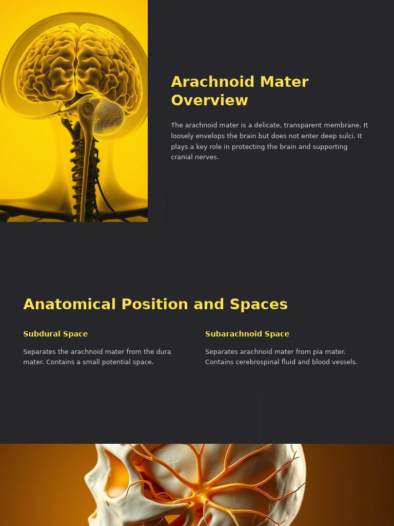 Arachnoid-Mater-Overview Final | PDF