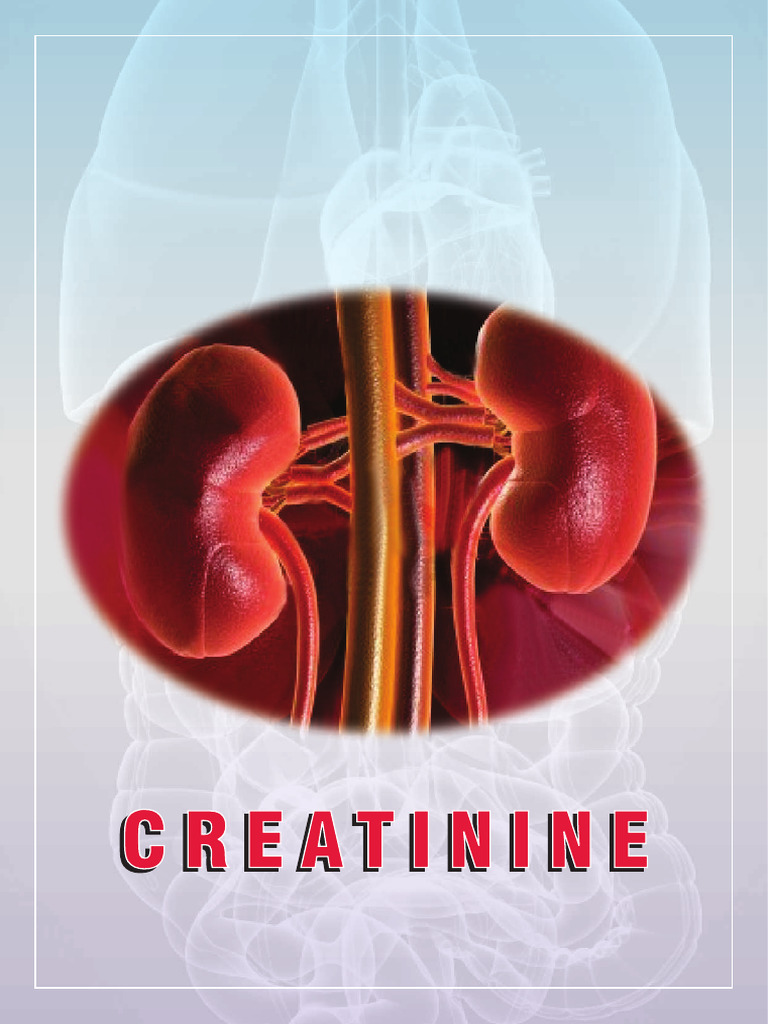 Creatinine Enz Brochure - Tulip | PDF