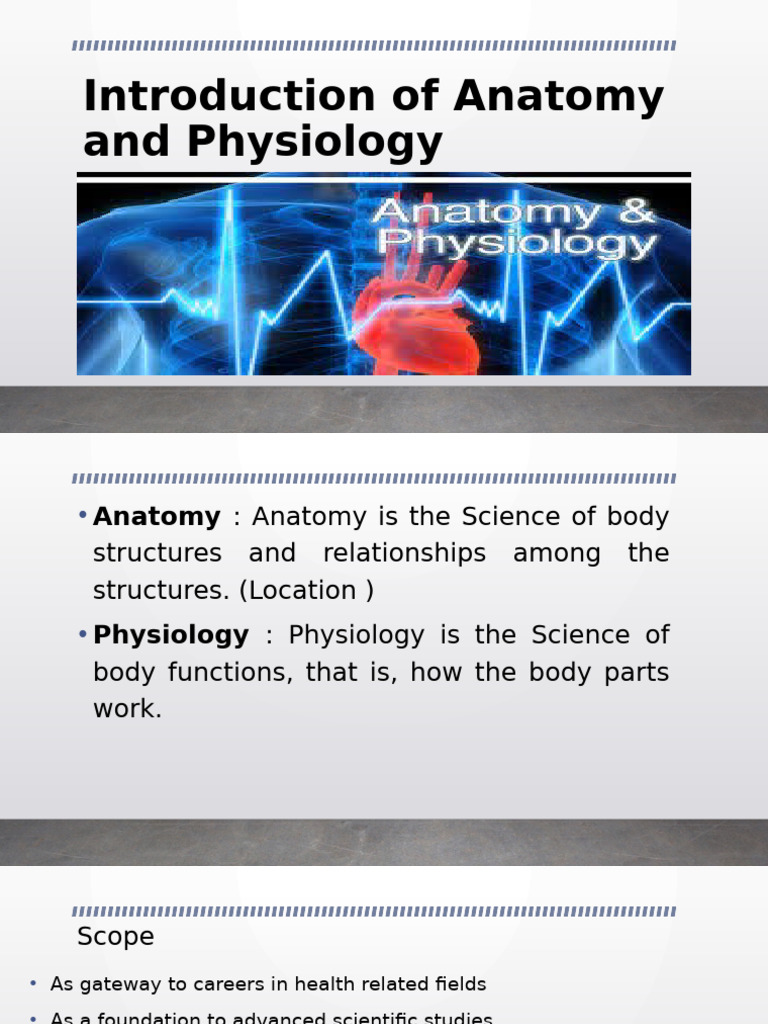 Introduction of Anatomy and Physiology | PDF | Human Body | Homeostasis