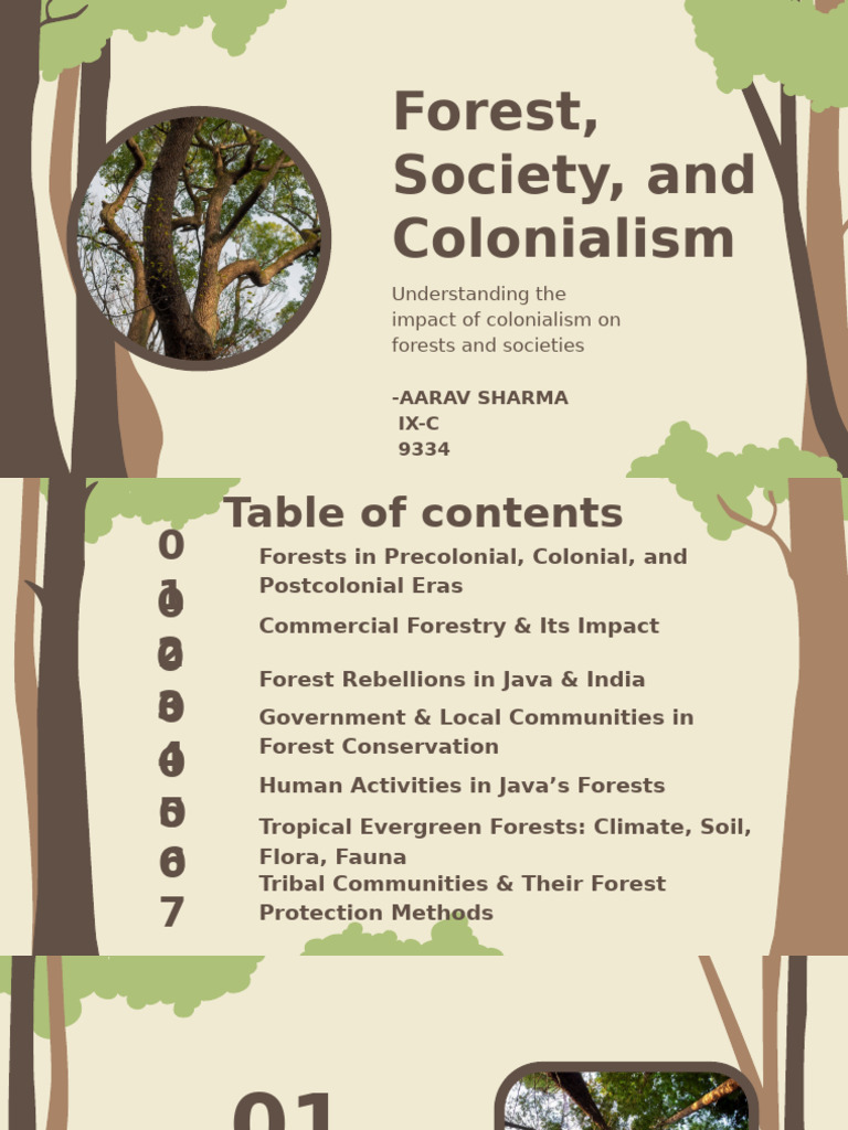 Forest ppt for research | PDF | Forests | Forest Management