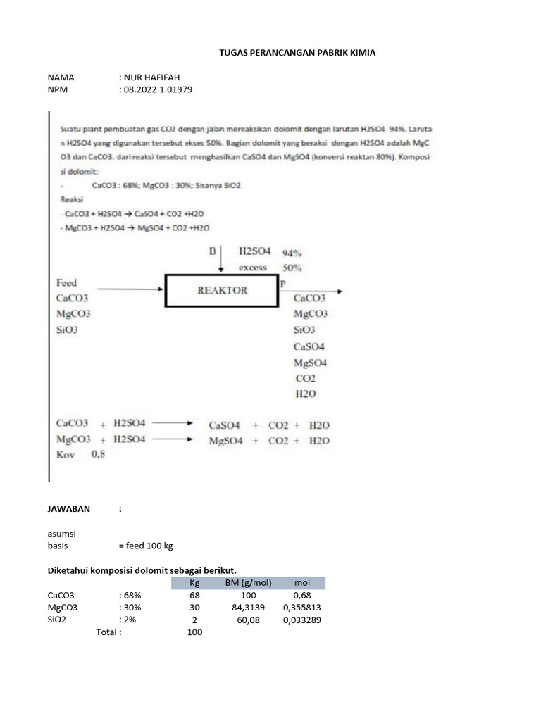 Tugas PPK - Nur Hafifah | PDF