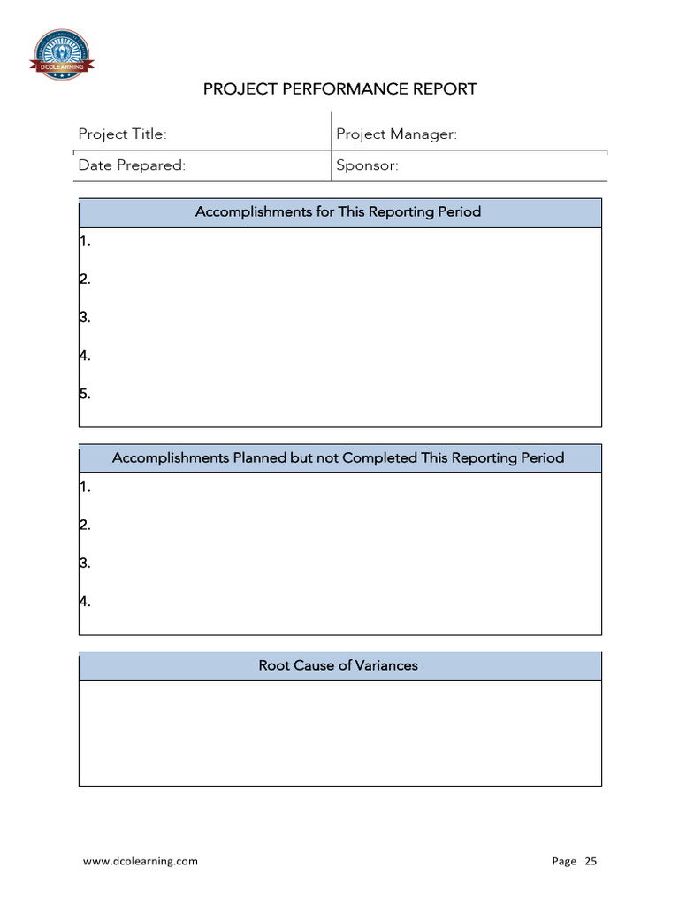 Project Performance Report | PDF