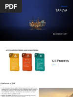 SAP JVA Configuration Guide | PDF | Joint Venture | Page Layout