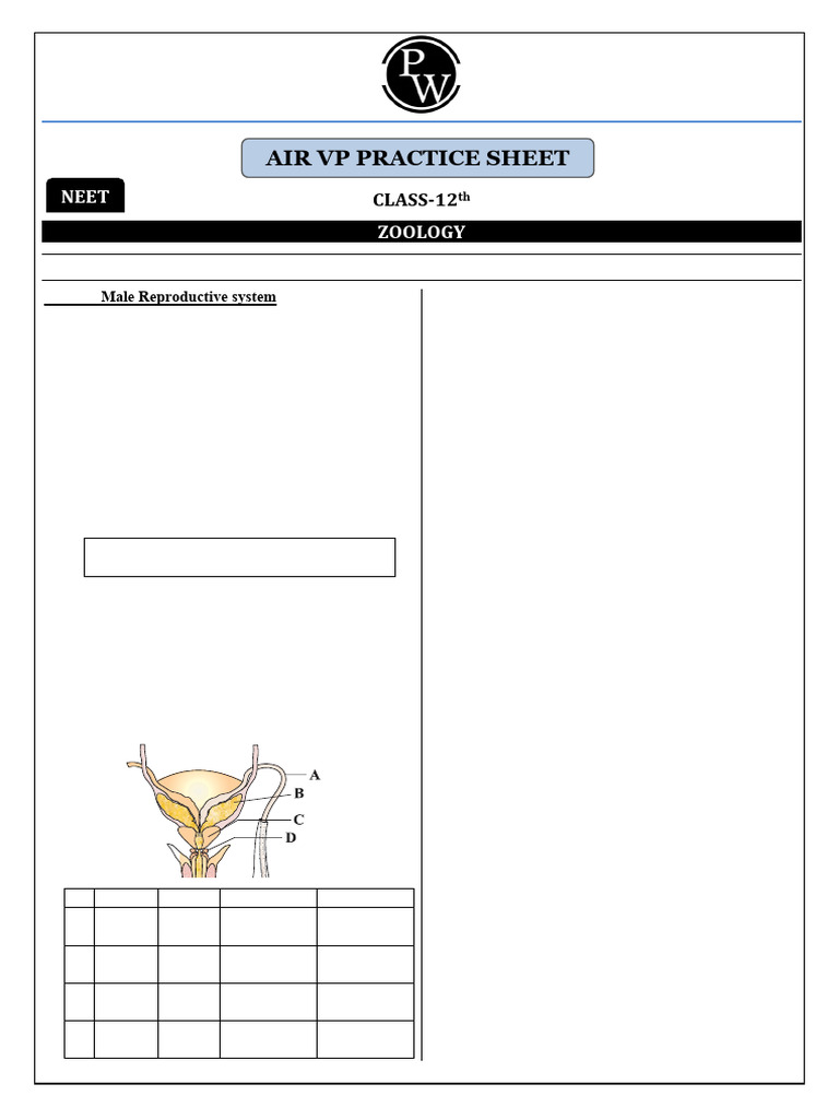 Human Reproduction _ Practice Sheet | PDF | Menstrual Cycle | Testicle