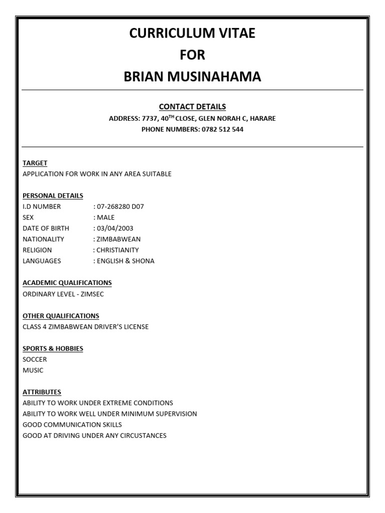 Brian Musinahama's CV | PDF