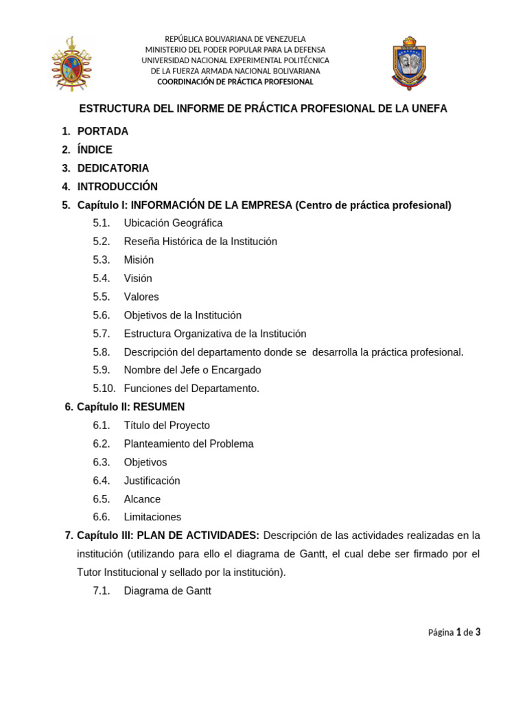 Anexo L - Estructura Del Informe de Practica Profesional | PDF