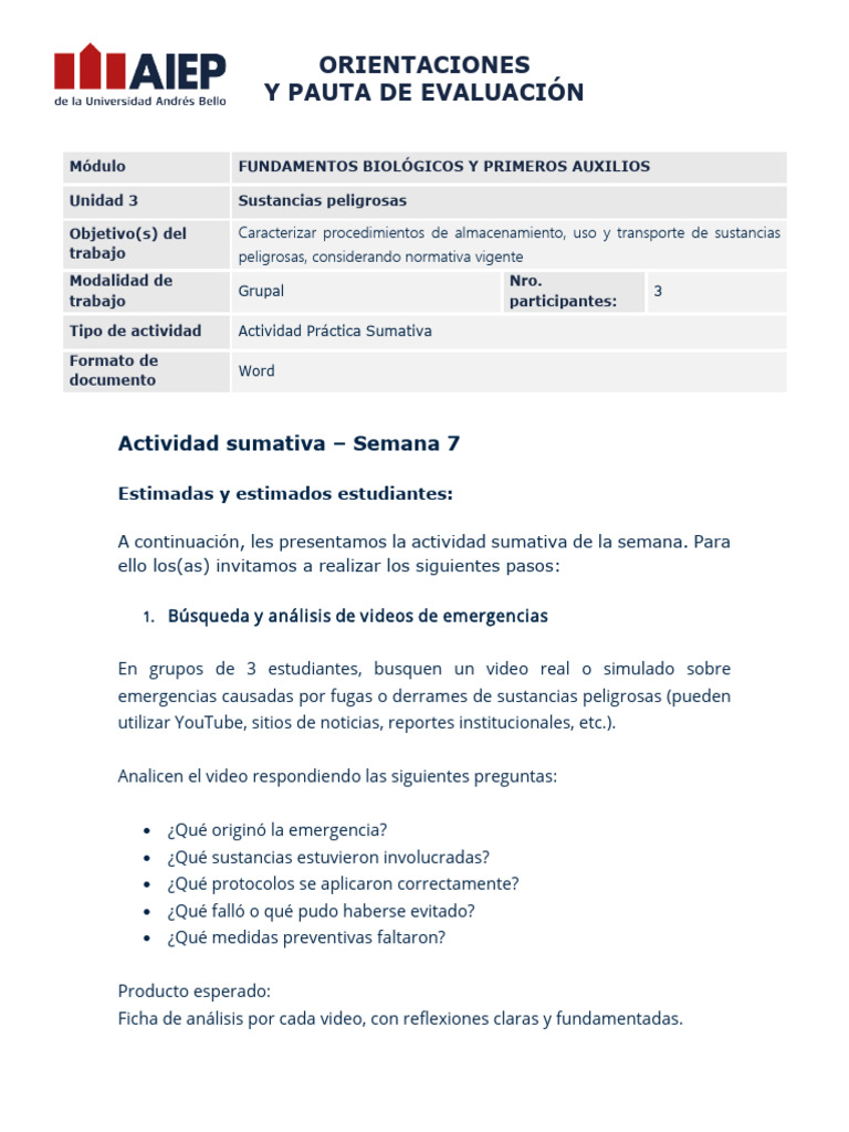 ORIENTACIONES Actividad Práctica Sumativa - Semana 7 | PDF