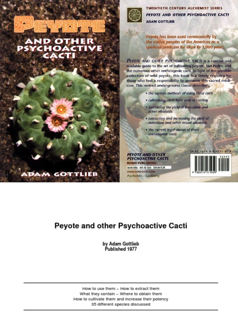 Psychoactive Cacti Guide: Peyote & More | PDF | Filtration | Nature