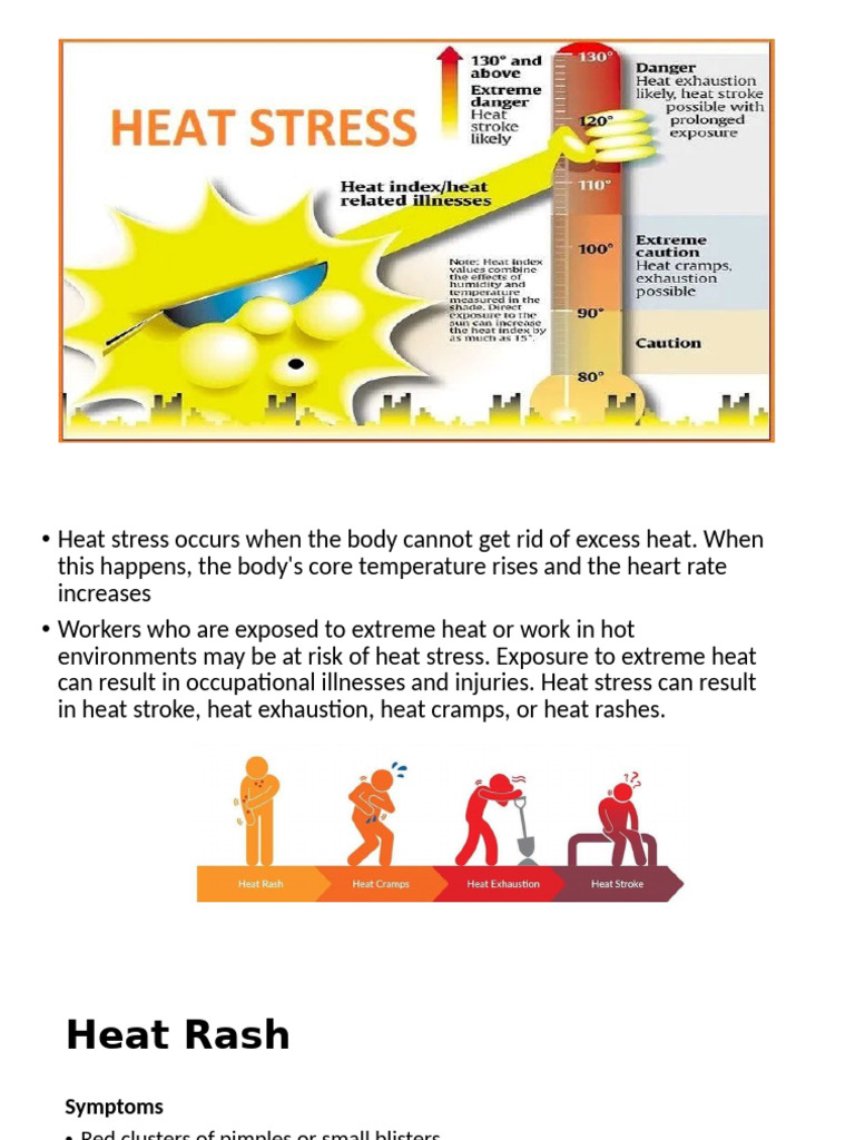Heat Stress | PDF
