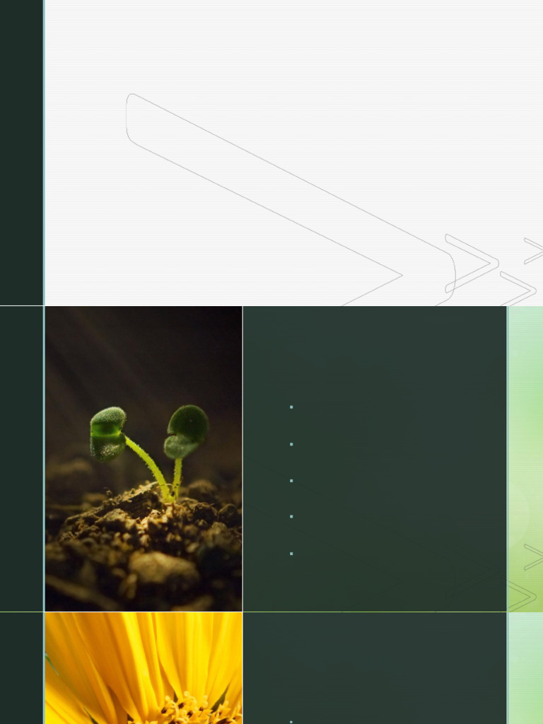 Life Cycles of Flowering Plants A 5th Grade Journey | PDF | Flowers ...