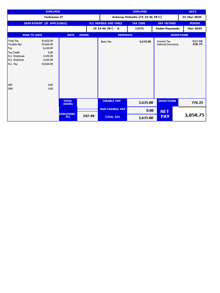 Techwave IT Antanas Petraitis 03 2025 | PDF
