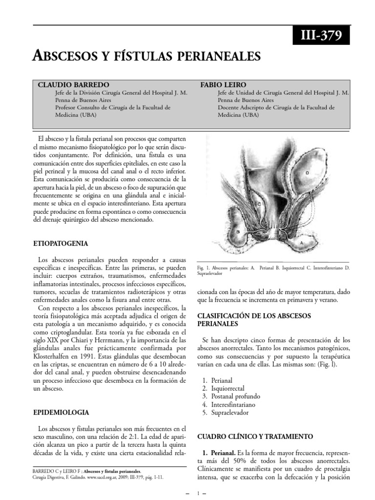 absceso perianal 2009 | Gastroenterología | Medicina