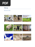 Sheep Scale How Are You Feeling Today - Google Search | PDF | Sheep ...