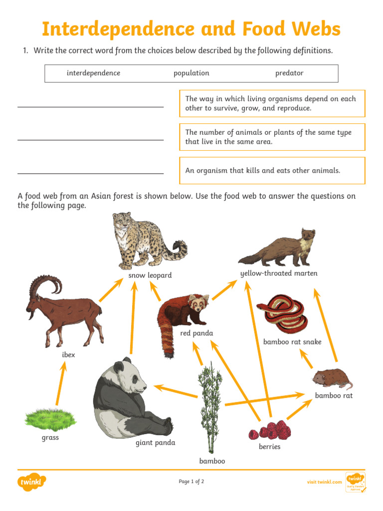 Interdependence and Food Webs | PDF