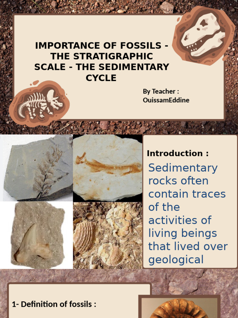 Fossils and Fossilization - 1AC | PDF | Fossil | Stratigraphy