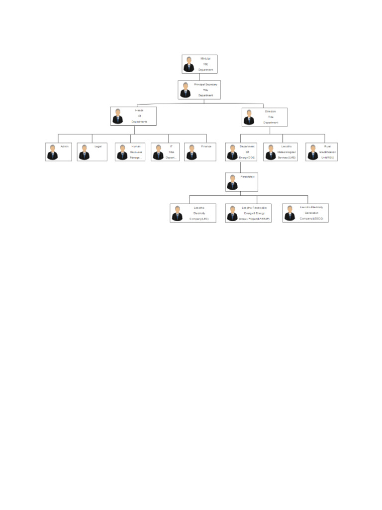 Org Structure1 | PDF