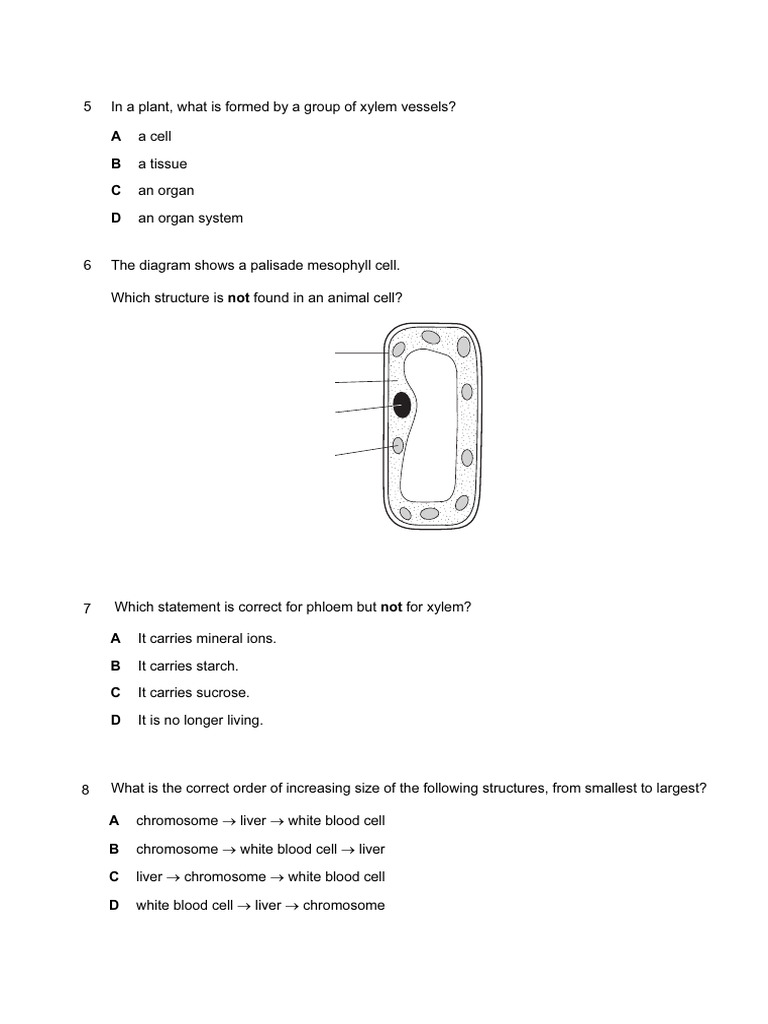 Biology Revision Organisation of The Organisms | PDF | Tissue (Biology ...