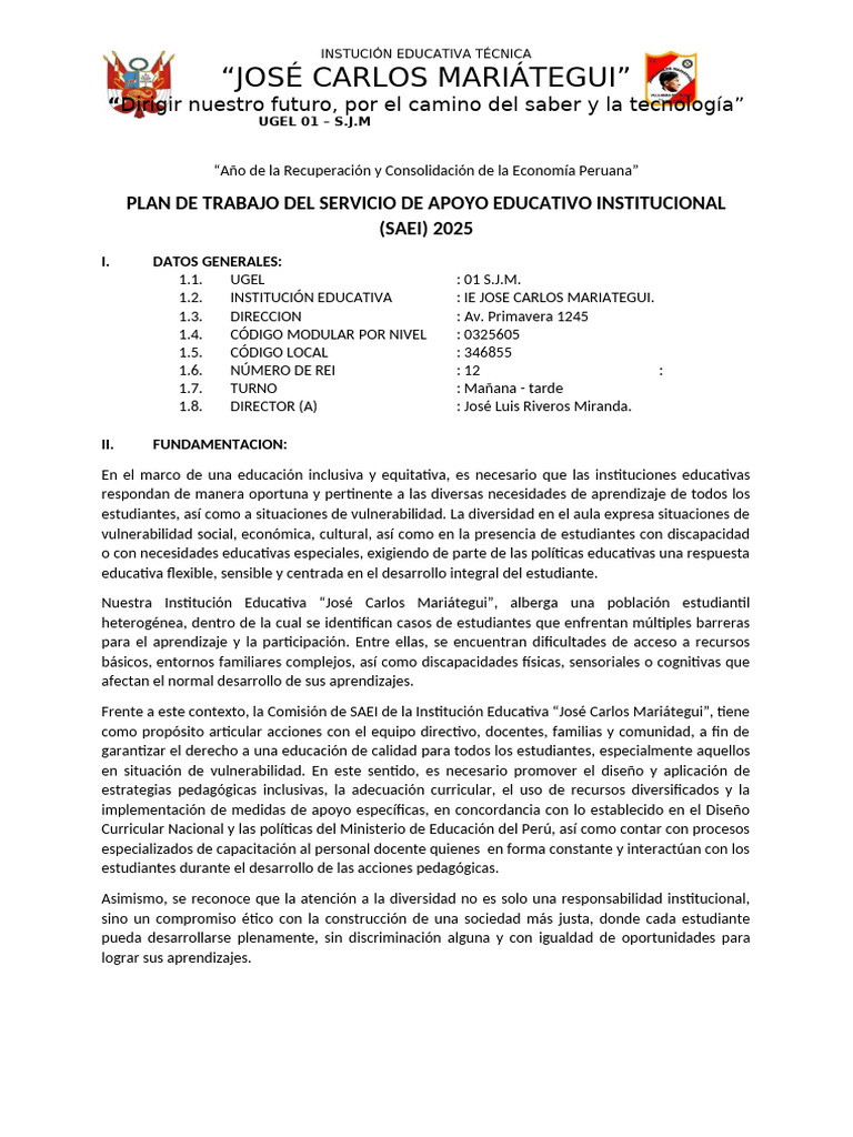 Plan de Trabajo Del Saei 2025 | PDF | Autismo | Aprendizaje
