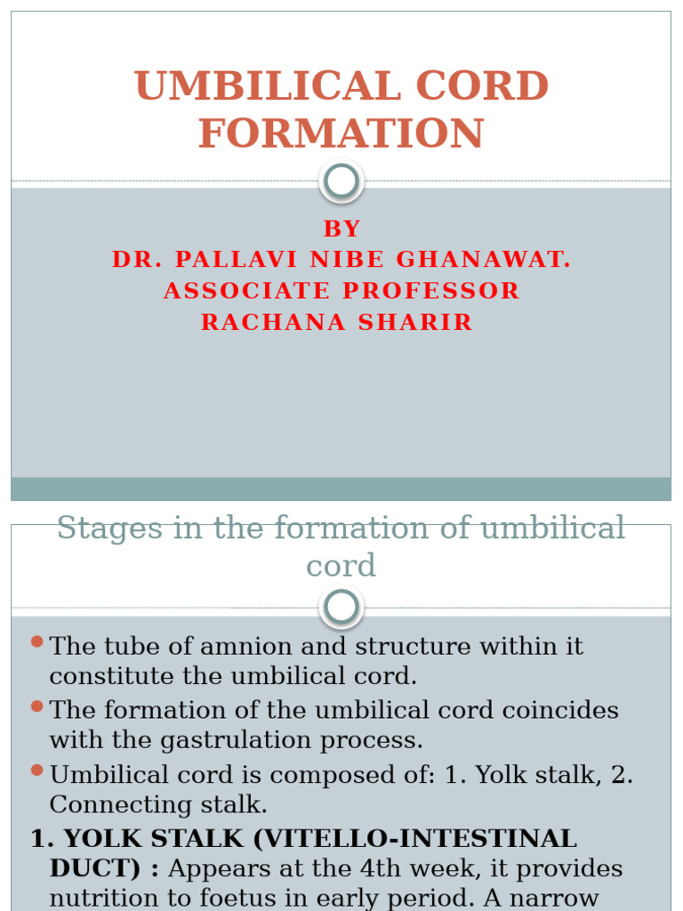 Germ Layer Derivatives & Umbilical Cord Formation | PDF | Animal ...