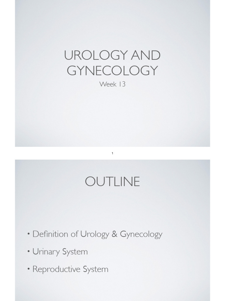 110 - 1 Medical Terminology - W13 Urology GYN - Students 2 | PDF ...