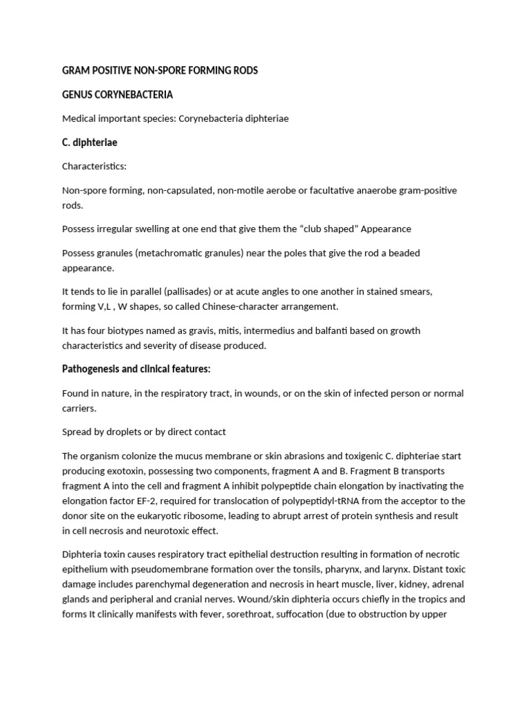 Gram Positive Non Spore Forming Rods | PDF | Microbiology