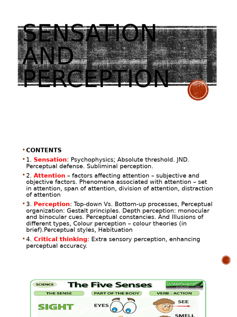 Sensation and Perception | PDF | Perception | Senses