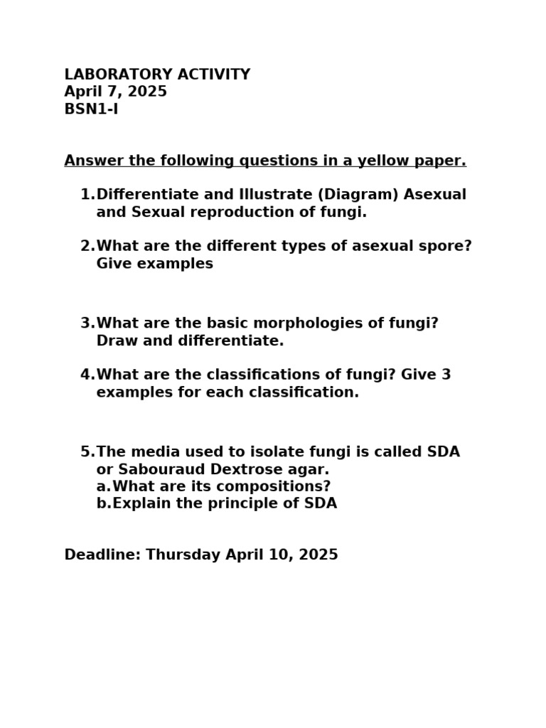 Laboratory Activity Mycology - BSN1-I | PDF
