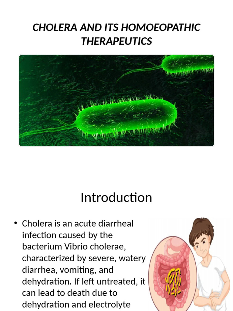 Cholera Detailed Overview | PDF | Cholera | Diarrhea