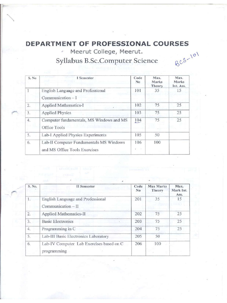 BSC Cs Syllabus-1 | PDF