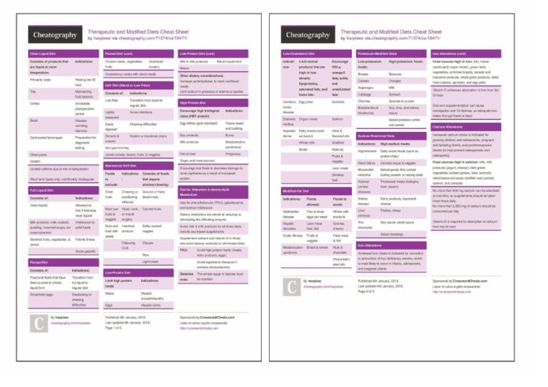 Therapeutic & Modified Diets- Word | PDF
