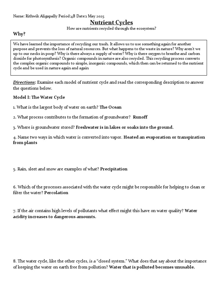 Nutrient Cycles. Student Handout | PDF | Water | Water Cycle