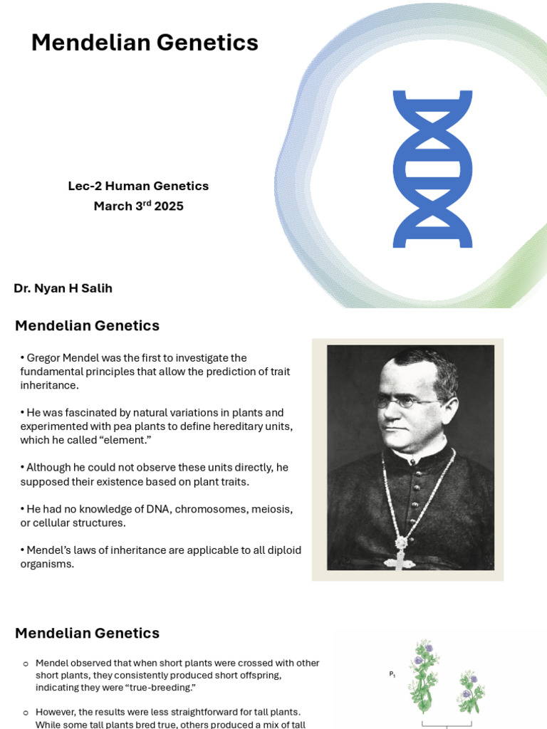 Lec-2 Human Genetics Mar 3rd 2025 | PDF | Dominance (Genetics) | Allele