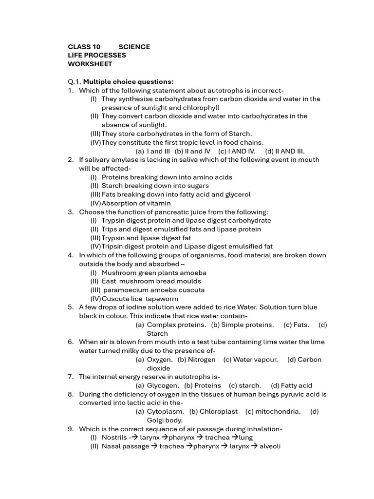 Class 10 Science Life Processes Worksheet | PDF | Digestion | Cellular ...