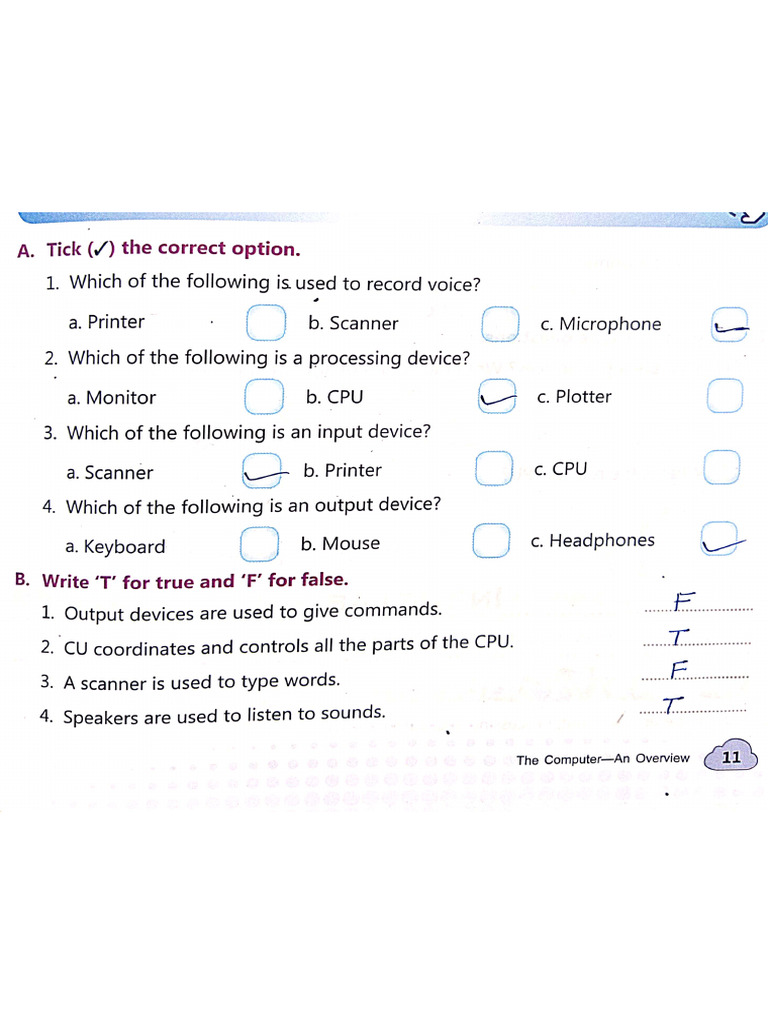 Class 4 Computer Chapter 1 | PDF
