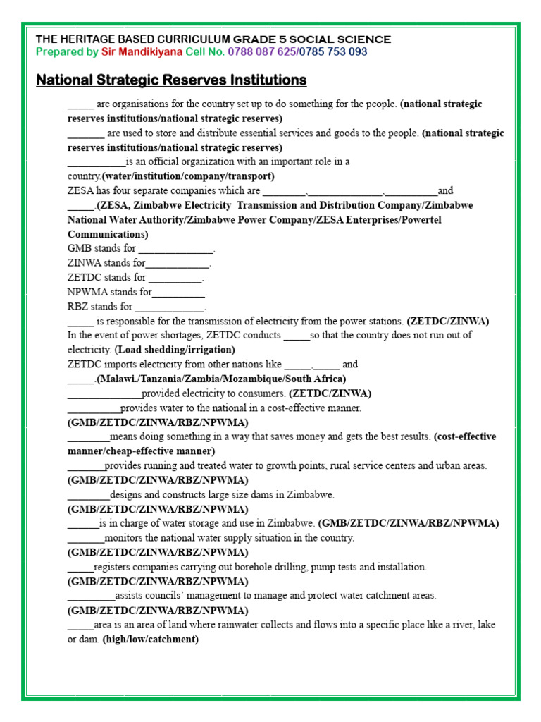 G5 National Strategic Reserve Institutions | PDF
