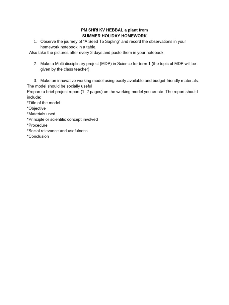 Class VI Summer Holiday Homework | PDF