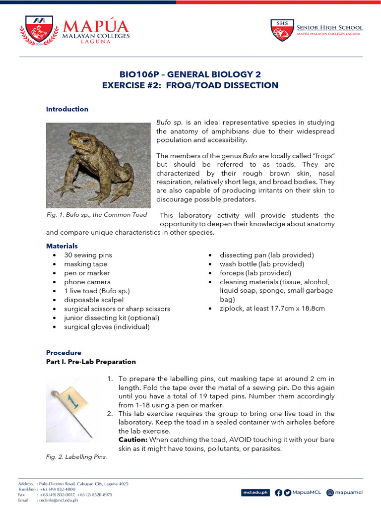 Frog/Toad Dissection Lab Guide | PDF | Frog