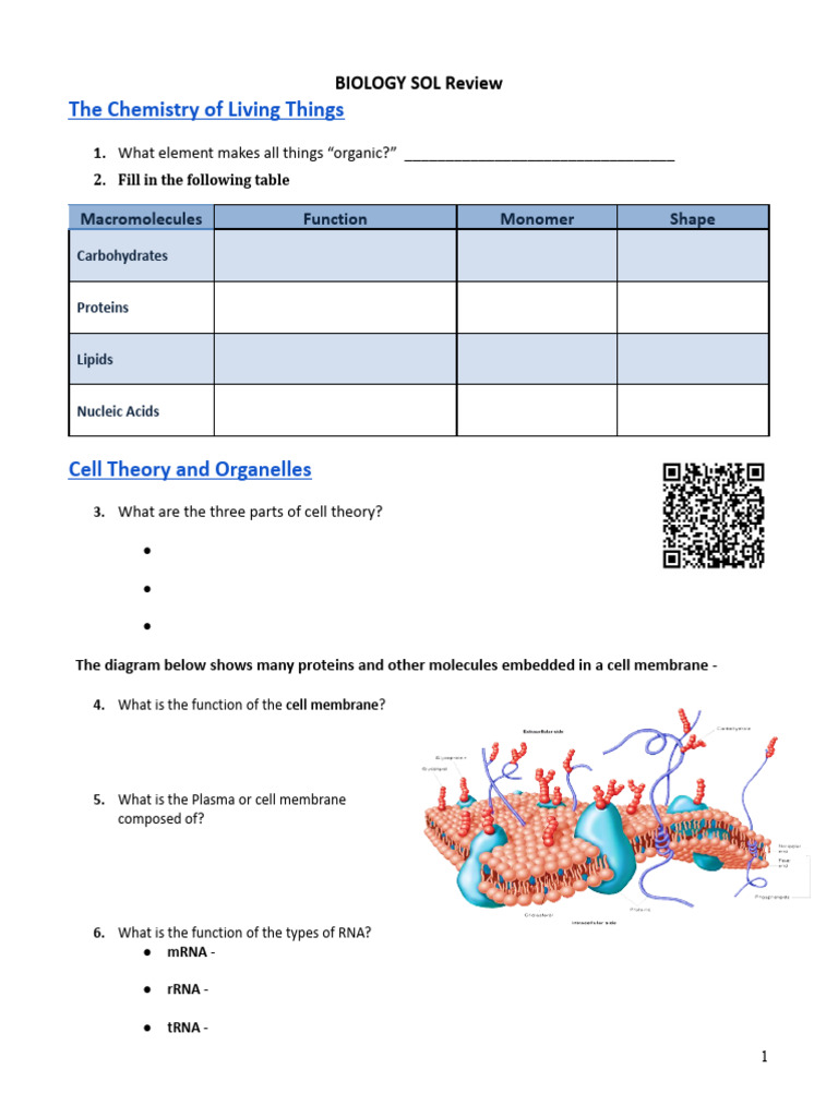 Biology SOL Review_interactive | PDF | Cell (Biology) | Cellular ...