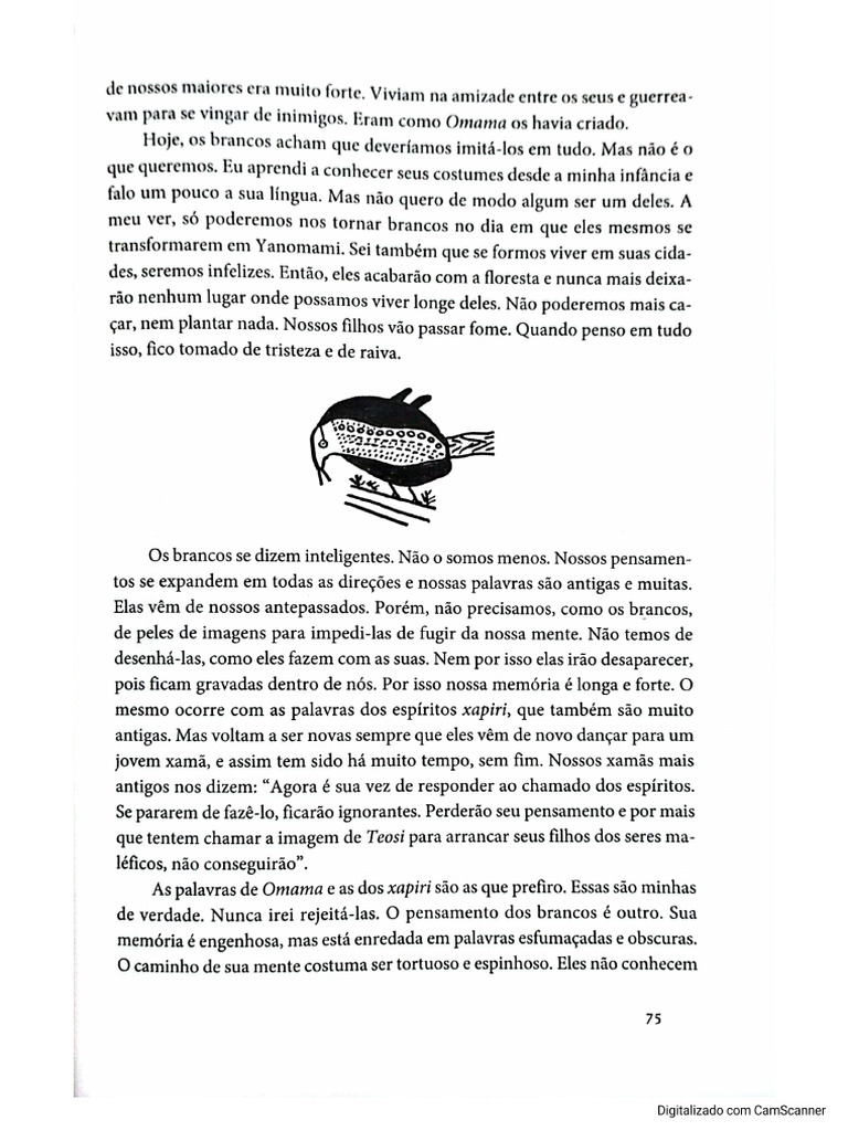 A Queda Do Céu - Trechos | PDF
