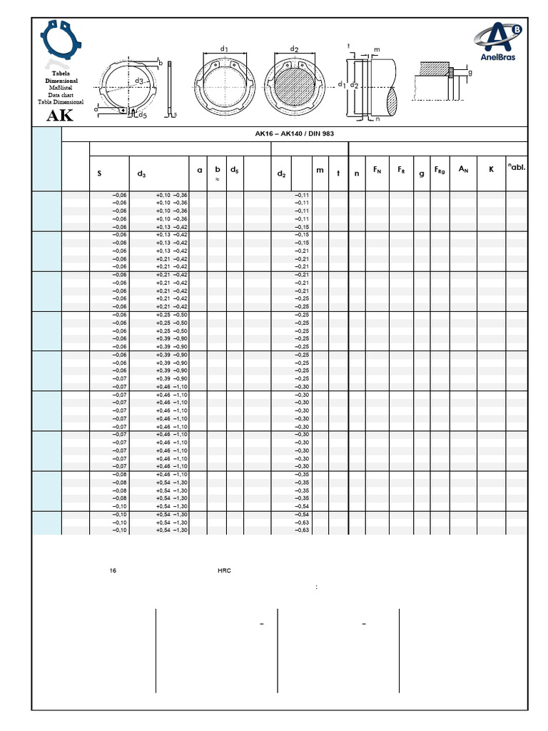 Anelbras Elástico Din983 Eixo Tipo Ak | PDF