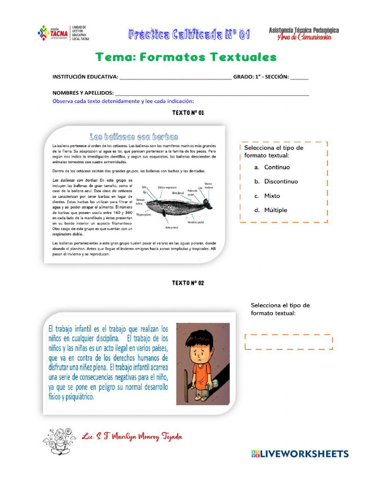 Practica de Formatos Textuales | PDF