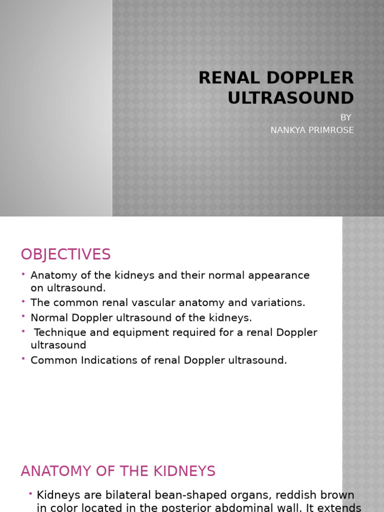 Renal Doppler Ultrasound | PDF | Kidney | Vein
